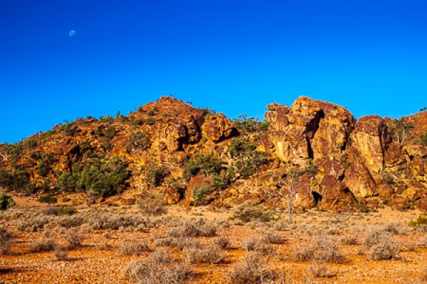 See and Do - Packsaddle Roadhouse