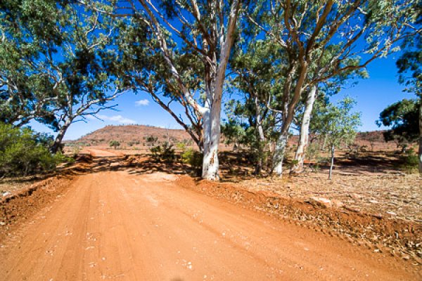 See and Do - Packsaddle Roadhouse